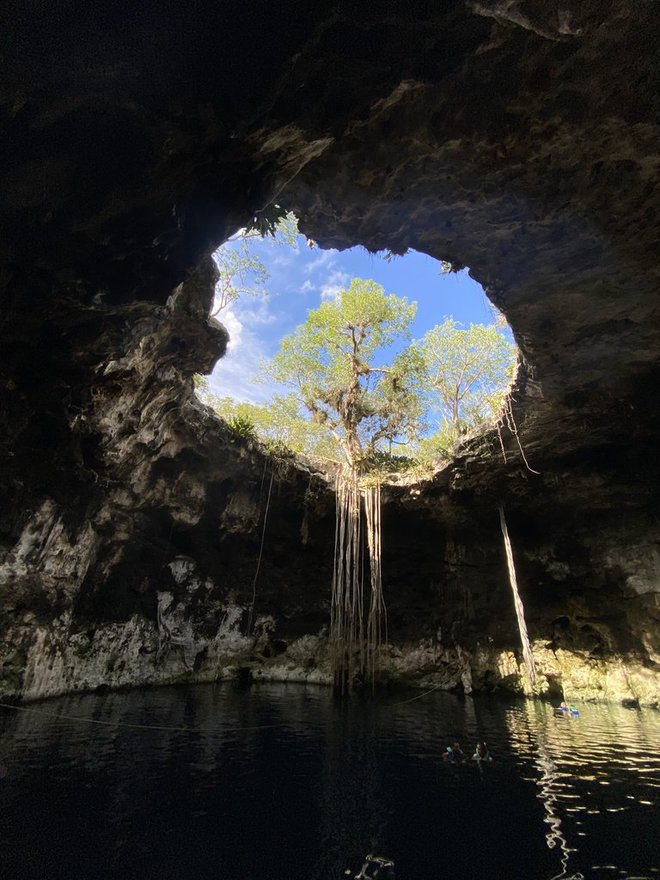 Ultimate Guide to Family-Friendly Cenotes in the Yucatan! - Travel ...